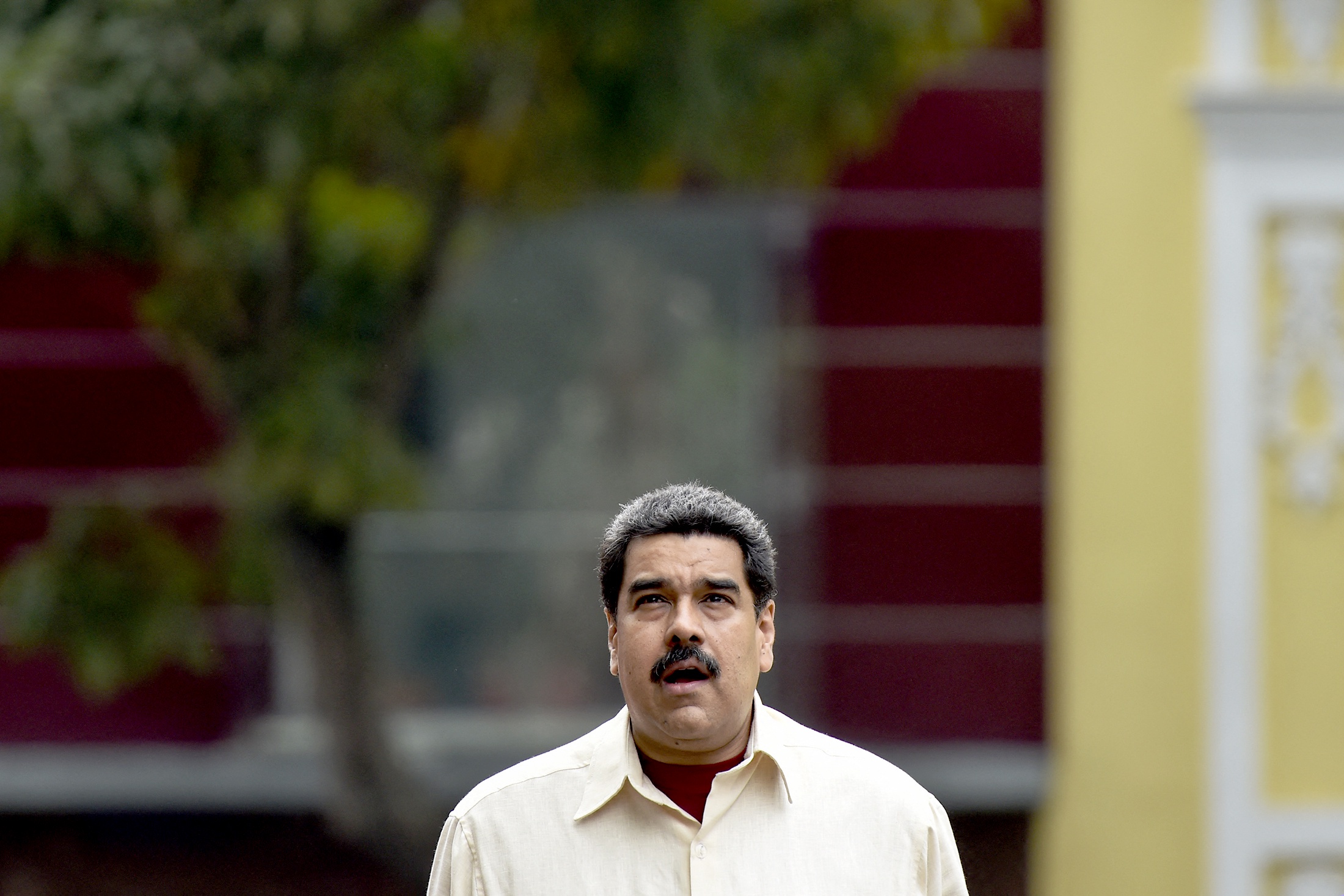 Tante indo live ngentot